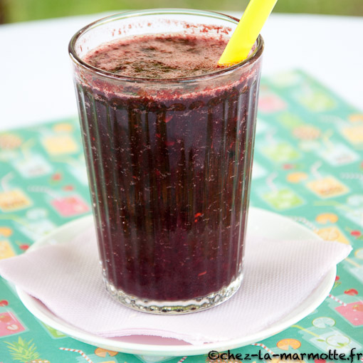 Jus de pastèque aux fruits rouges – Marmotte cuisine… dilettante